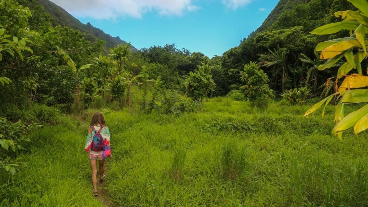 The Healing Powers of Maui, Hawaii – Maui Recovery